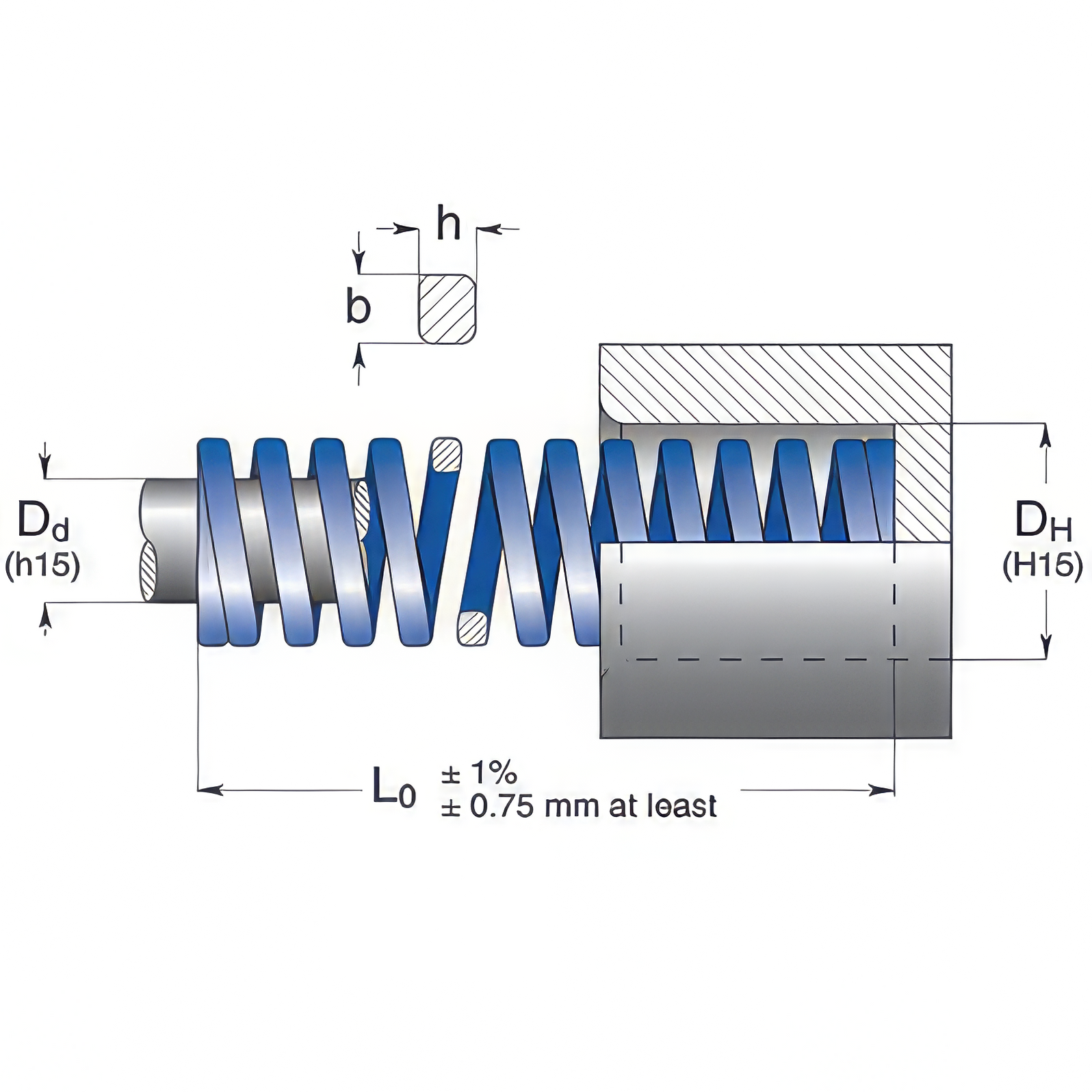 Die Springs Medium Load Blue ISO 10243 at SpringXpert UK